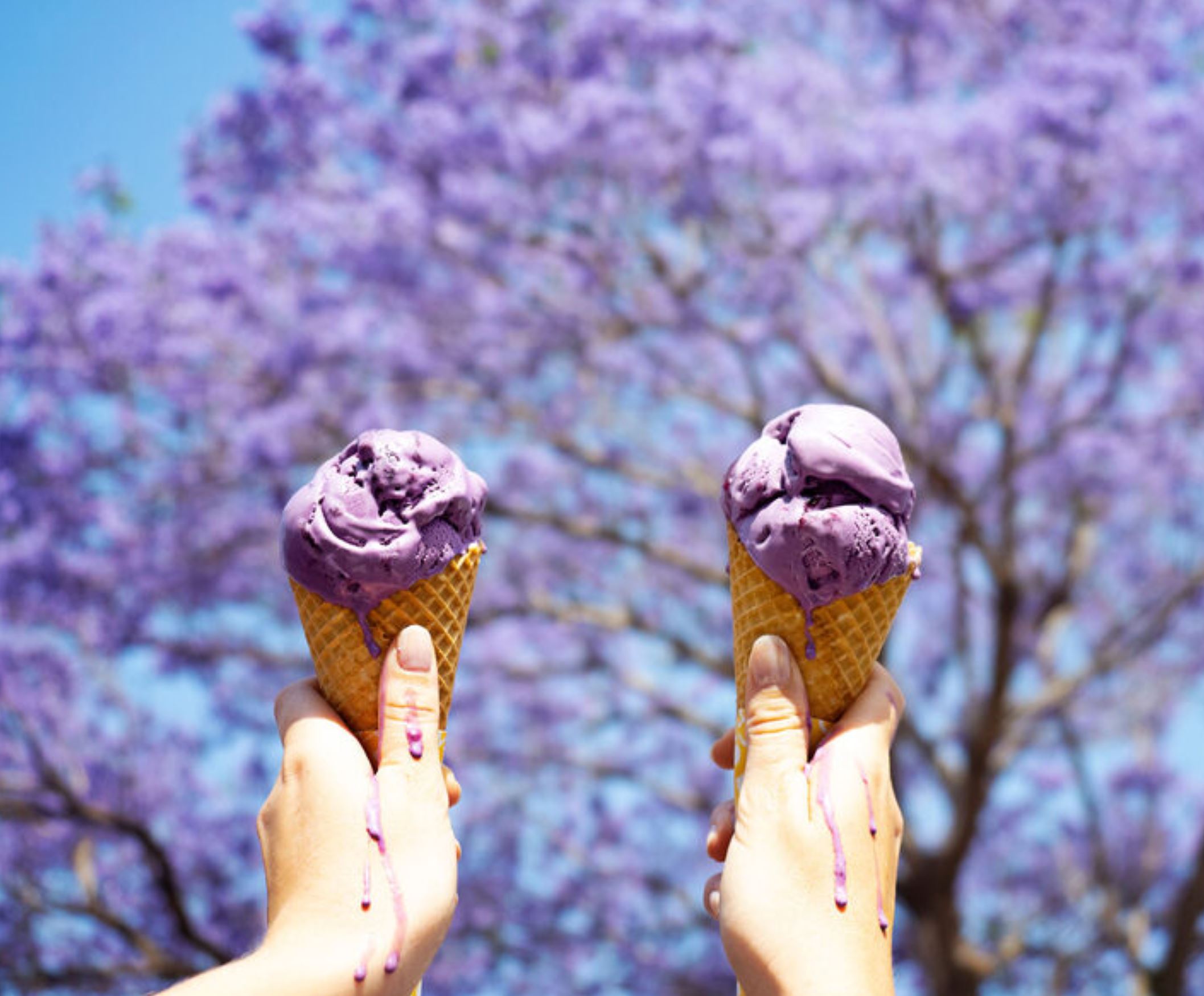 Sightseeing north of Coffs Harbour – The Poseidon Adventures